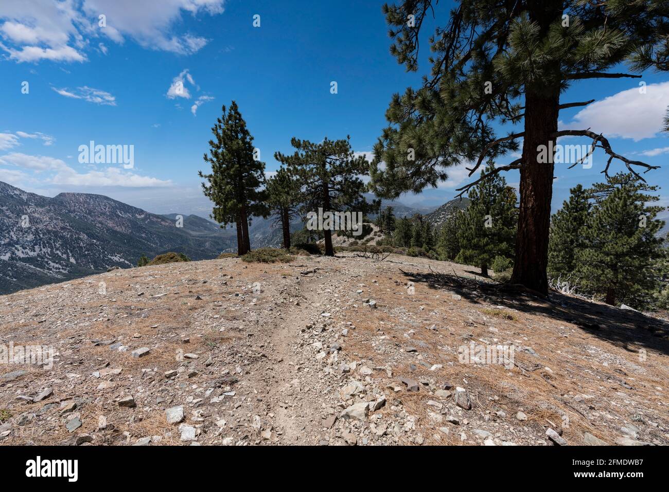 View of the Mt Baldy Trail in the San Gabriel Mountains of Los Angeles ...