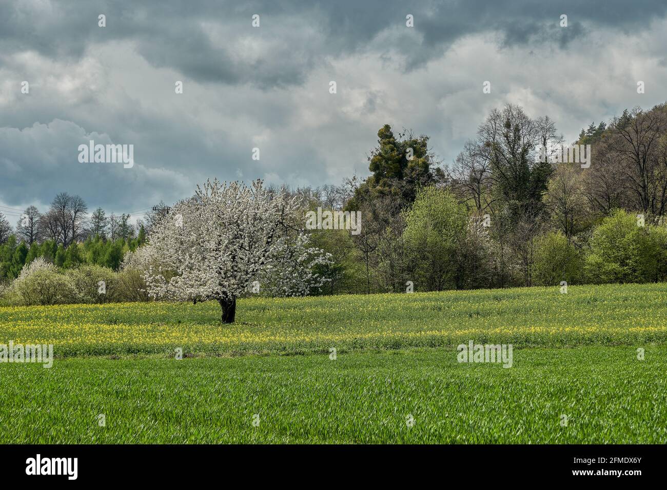 Spring rural landscape Lower Silesia Poland Stock Photo - Alamy