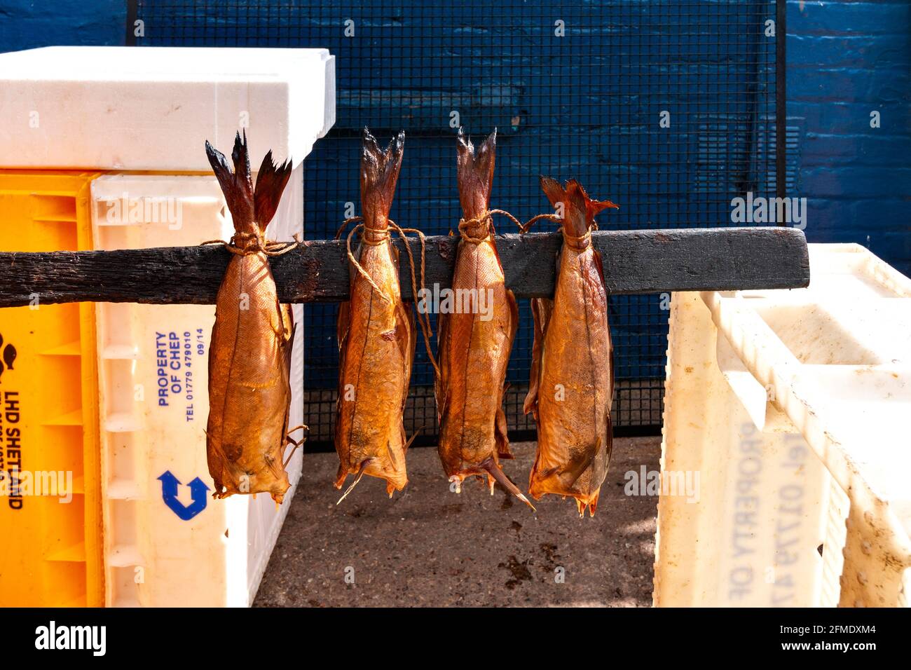 Spink arbroath hi-res stock photography and images - Alamy
