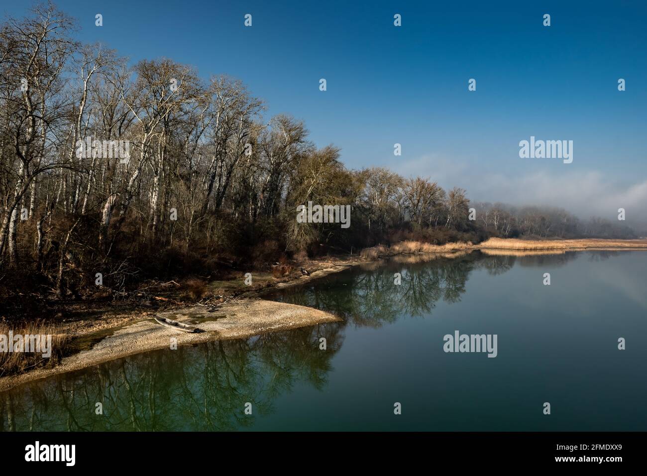 Landscape At National Park River Danube Wetlands In Austria Stock Photo ...