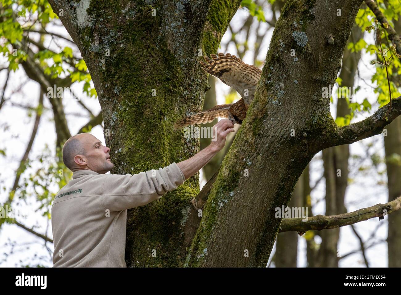 Handler hand hi-res stock photography and images - Alamy
