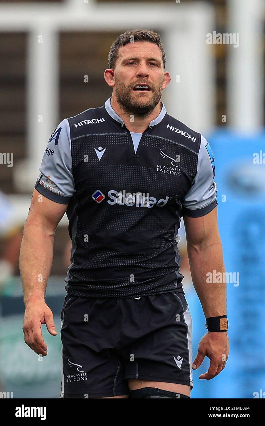 Mark wilson newcastle falcons hi-res stock photography and images - Alamy