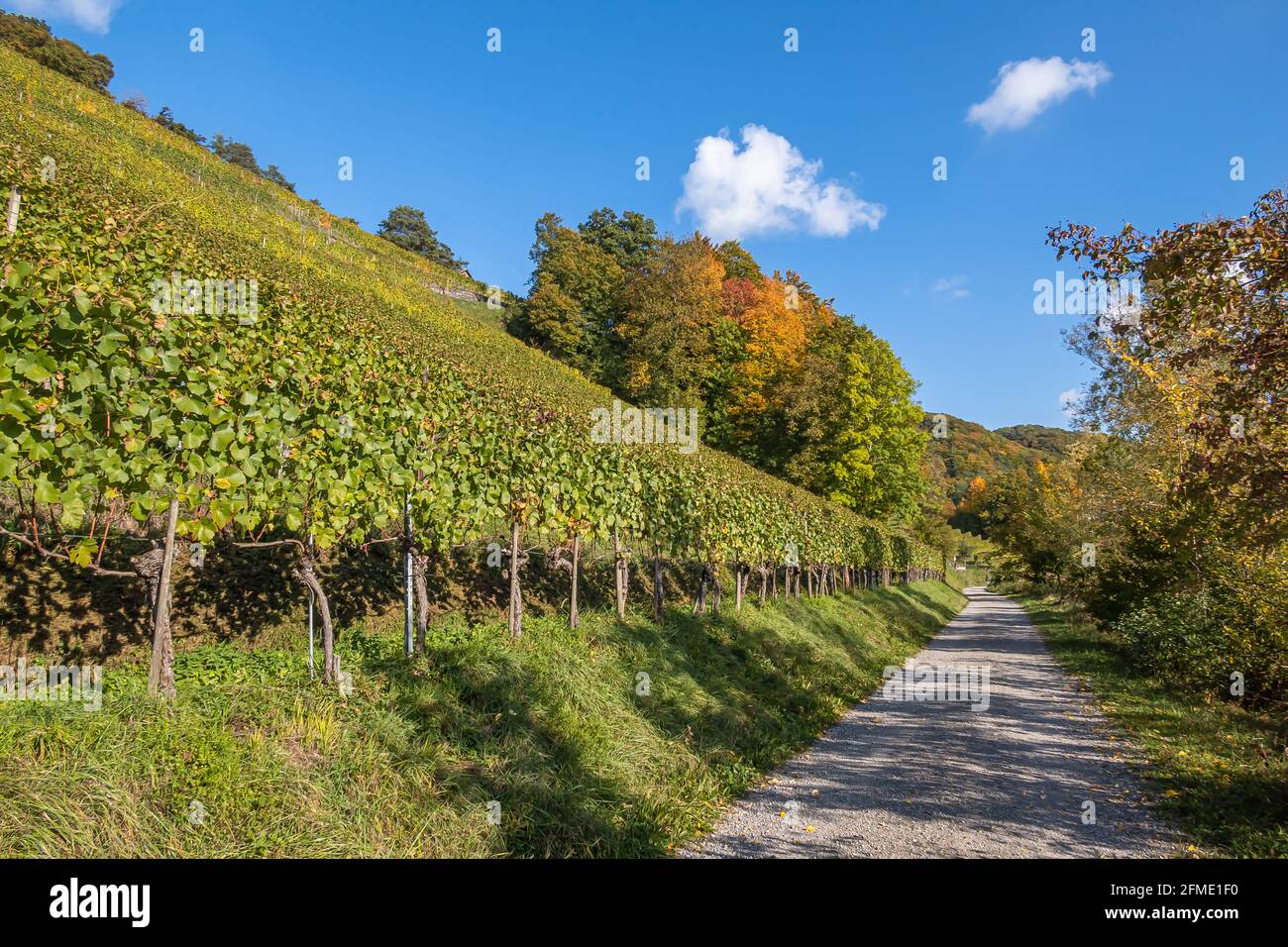 Eglisau hi-res stock photography and images - Alamy