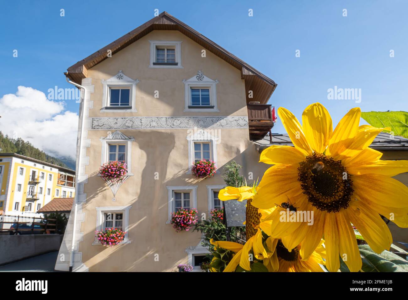 Mustair, Switzerland - September 8, 2020: Sunflower and traditional ...