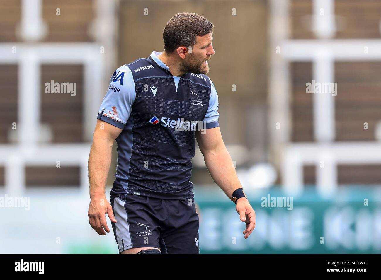 Mark wilson newcastle falcons hi-res stock photography and images - Alamy