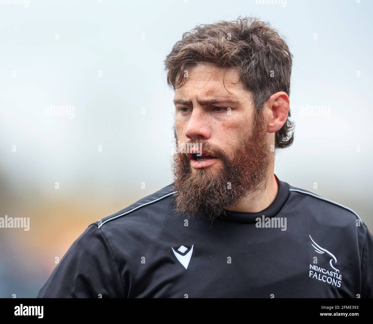 Greg peterson of newcastle falcons hi-res stock photography and images ...