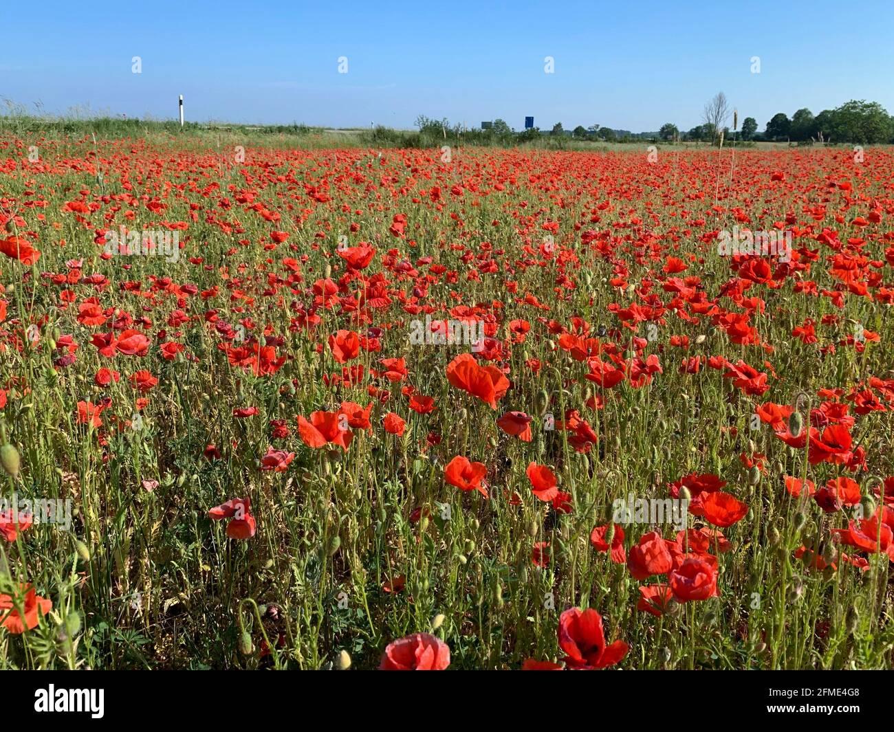 Love island 2019 hi-res stock photography and images - Alamy