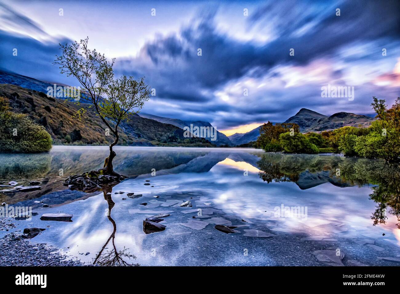 The Lone Tree Llanberis North Wales Stock Photo - Alamy