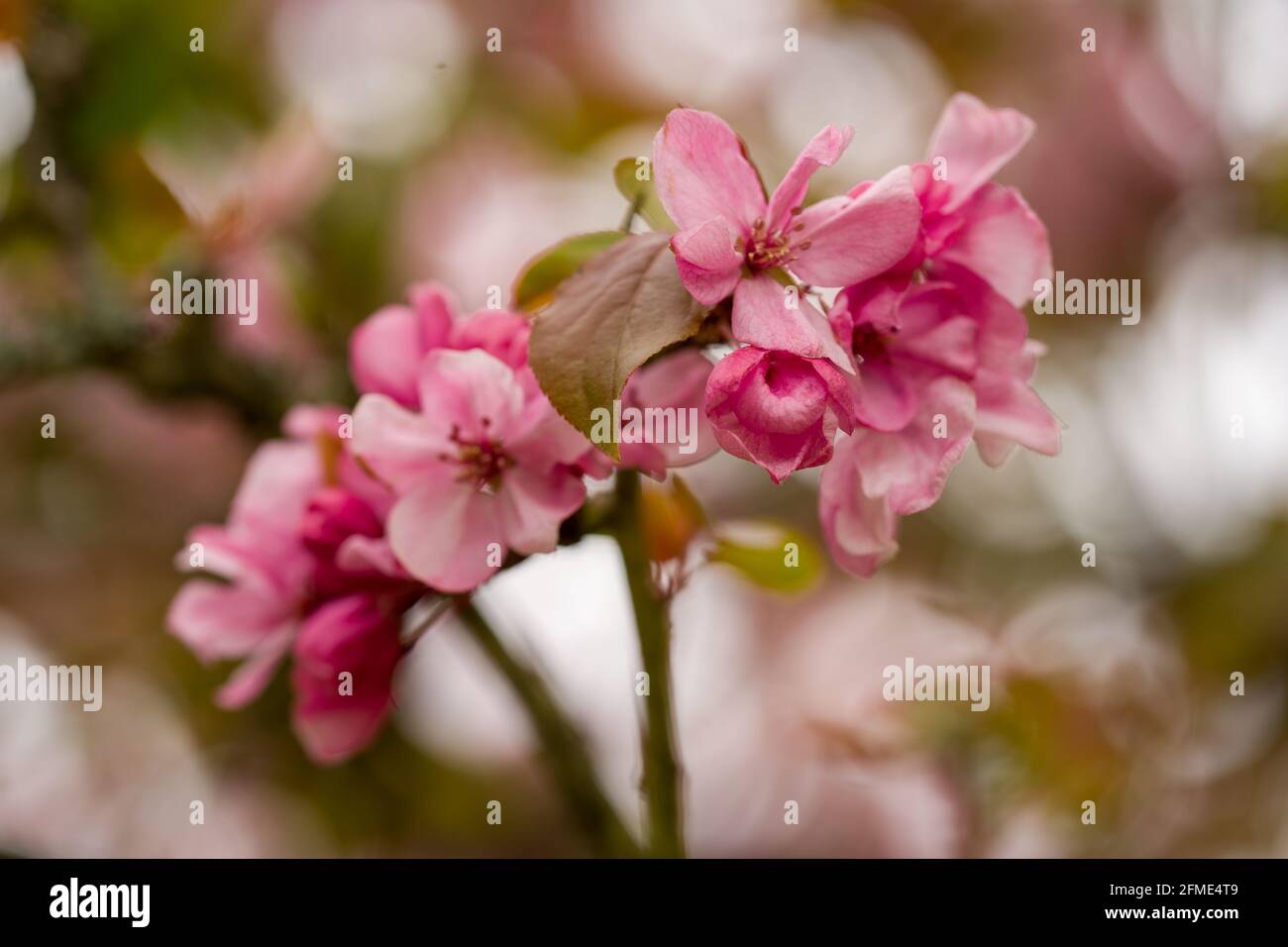 Beauty of urban parks hi-res stock photography and images - Alamy