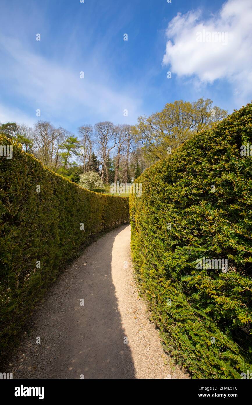 Leeds Maze