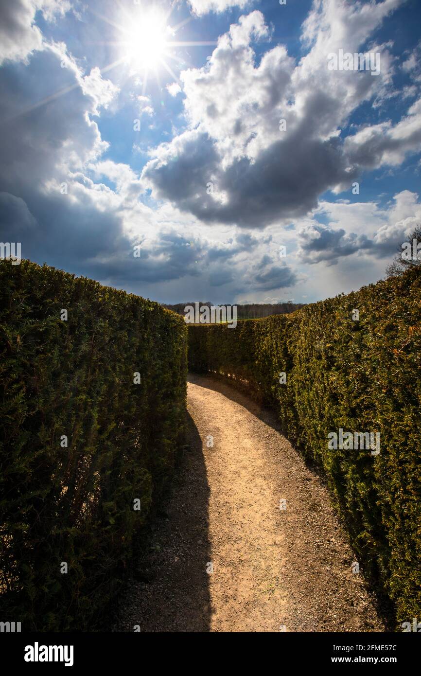A view inside the Maze at Leeds Castle in Kent, UK Stock Photo - Alamy