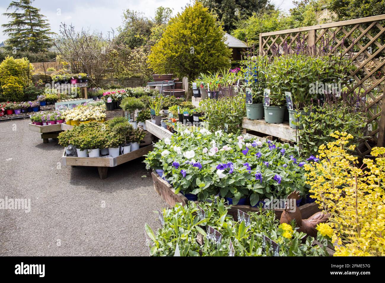 Plants for sale hi-res stock photography and images - Alamy