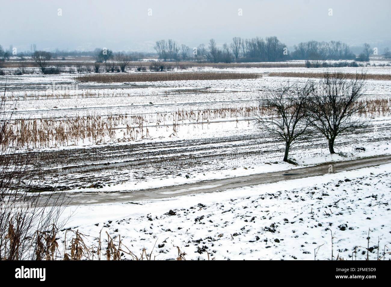 Mineral jadarit hi-res stock photography and images - Alamy