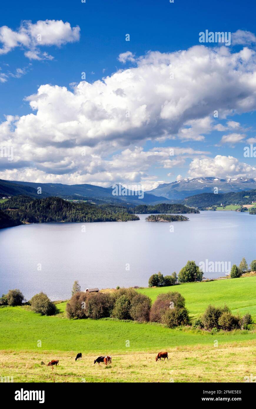 Panoramic view norwegian lake hi-res stock photography and images - Alamy