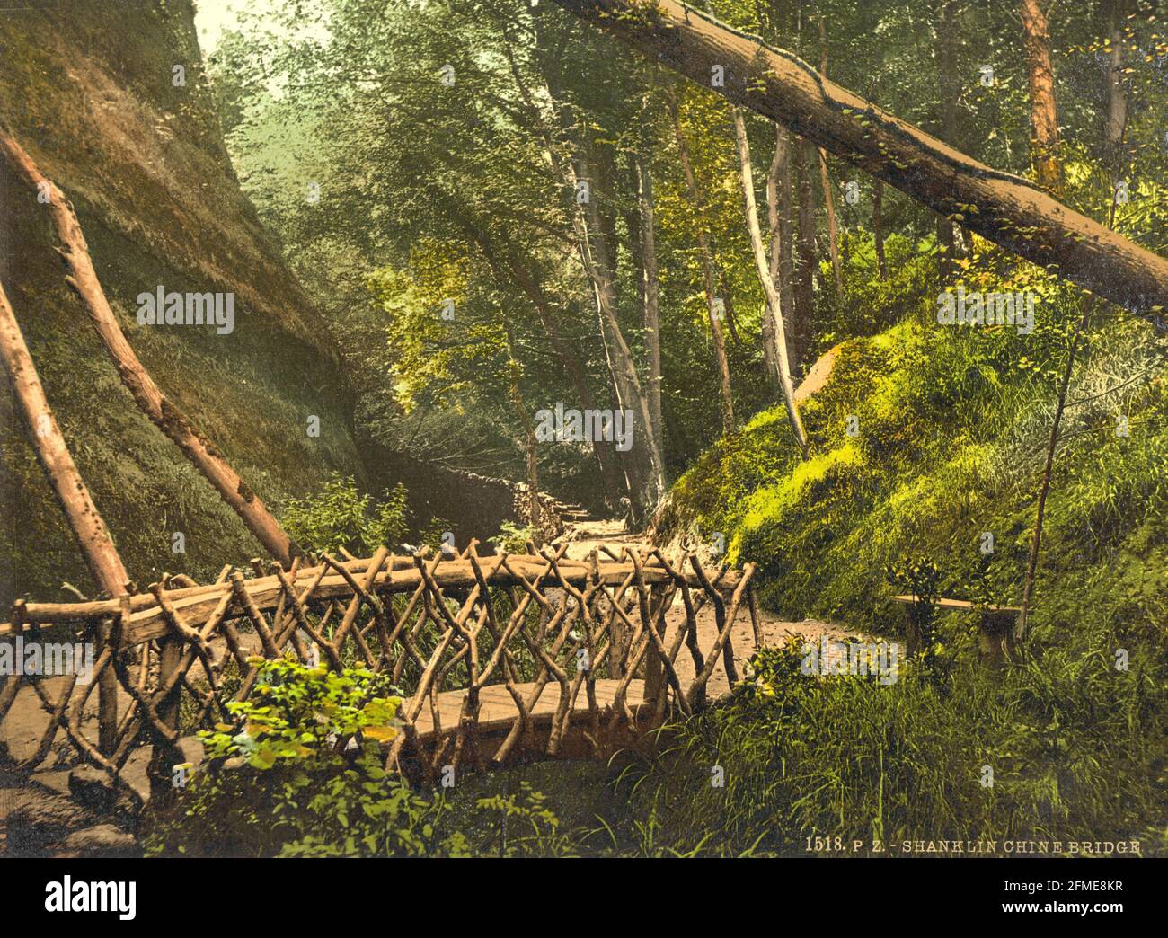 Shanklin Chine, Isle of Wight circa 1890-1900 Stock Photo - Alamy
