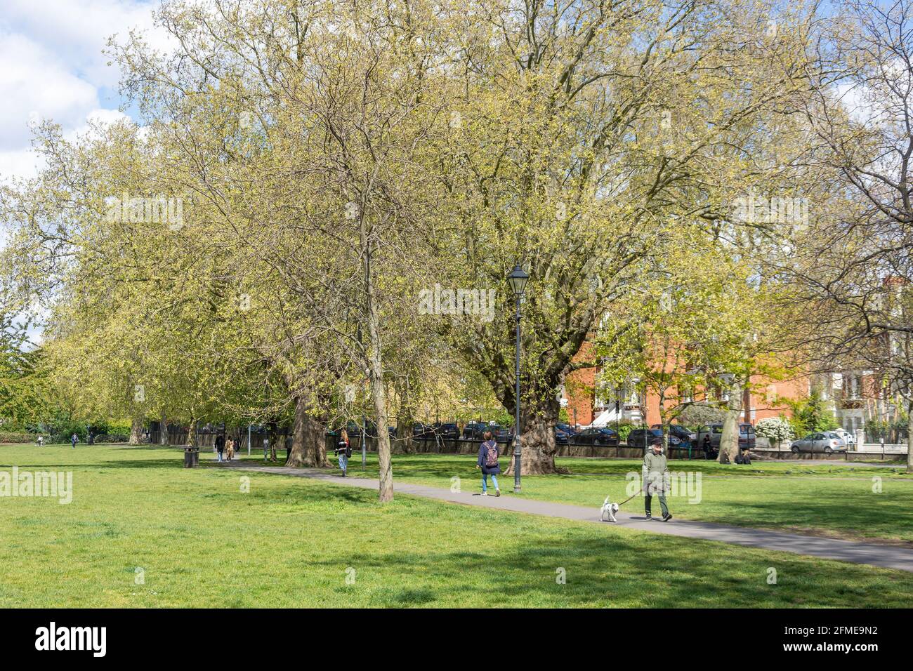 Common eel hi-res stock photography and images - Alamy