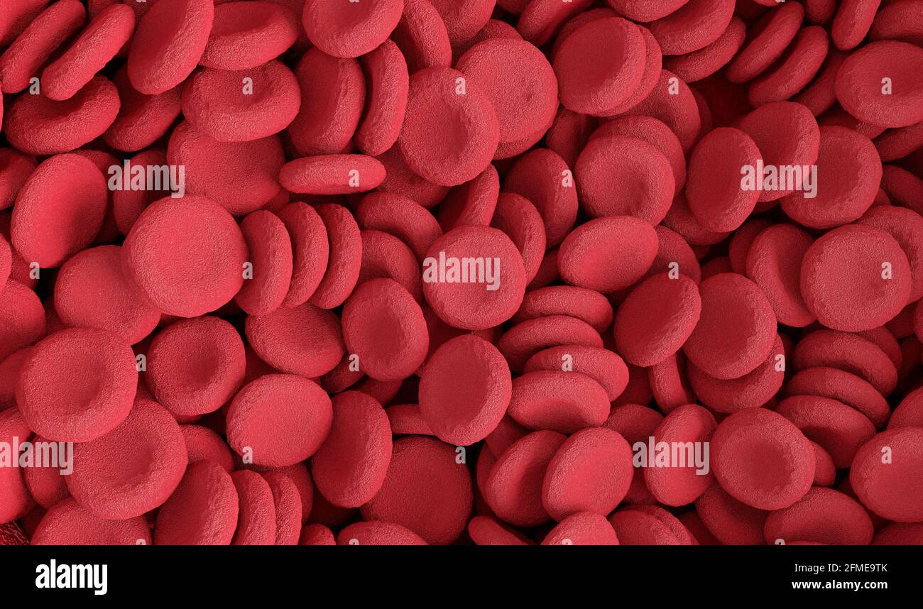 Red blood cells. Background of blood elements. 3D rendering Stock Photo ...