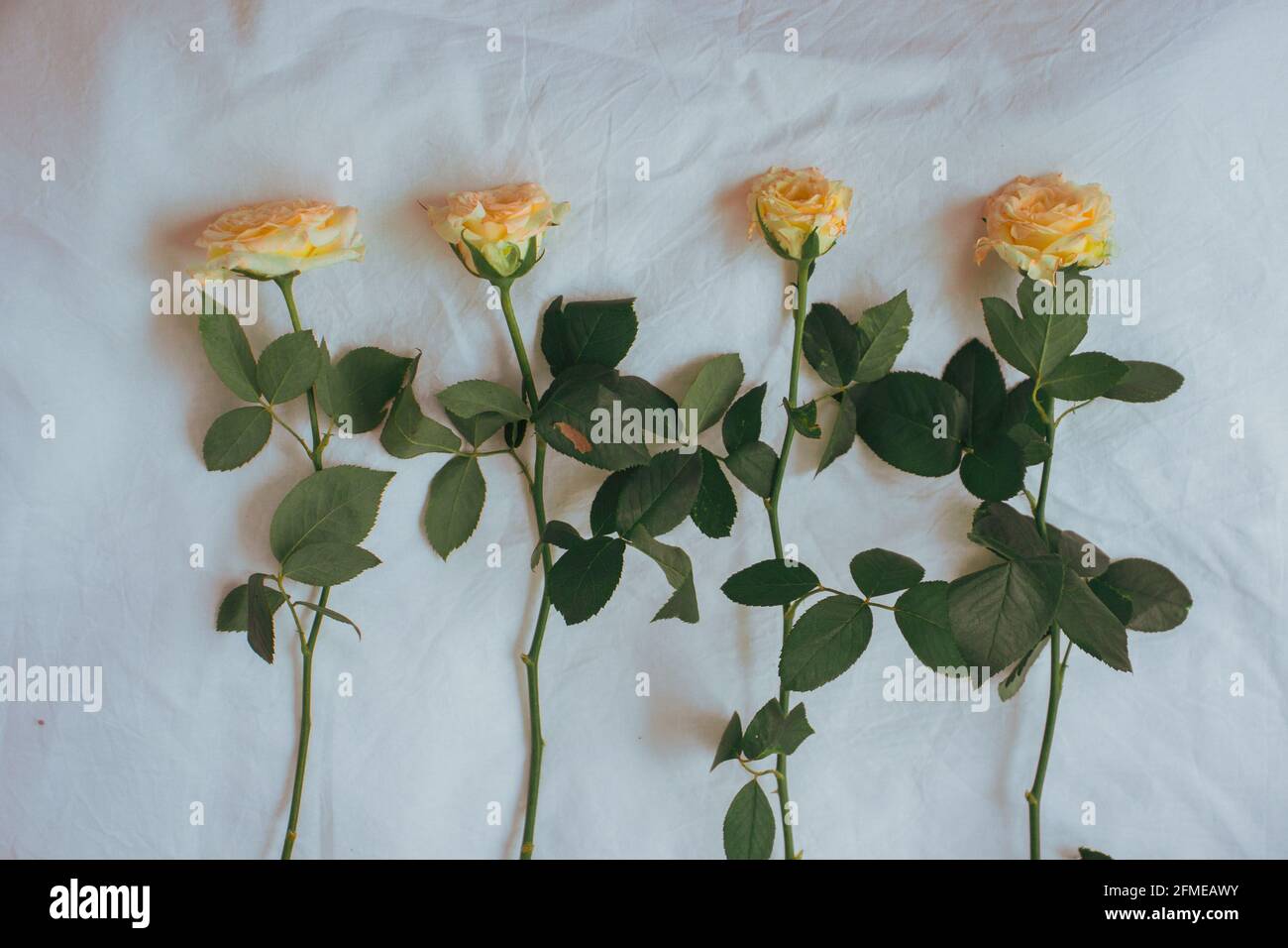 Magic flat lay various hi-res stock photography and images - Alamy