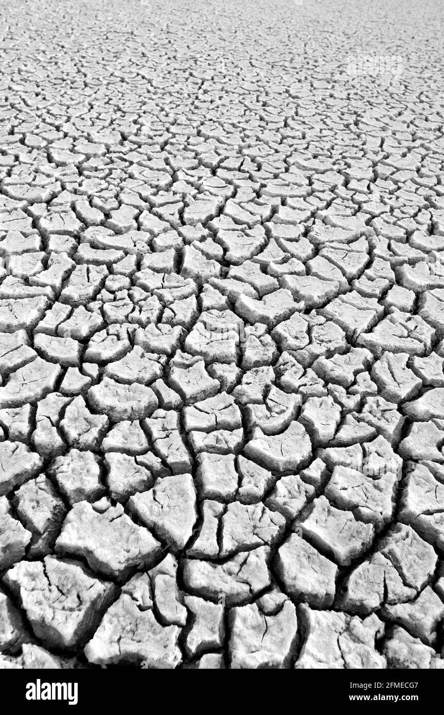 Arid dry parched desert environment Black and White Stock Photos ...