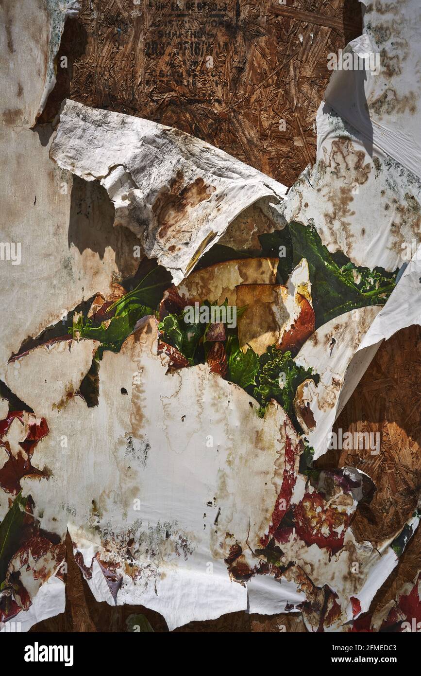 colorful detail of peeling surface of an old billboard Stock Photo - Alamy