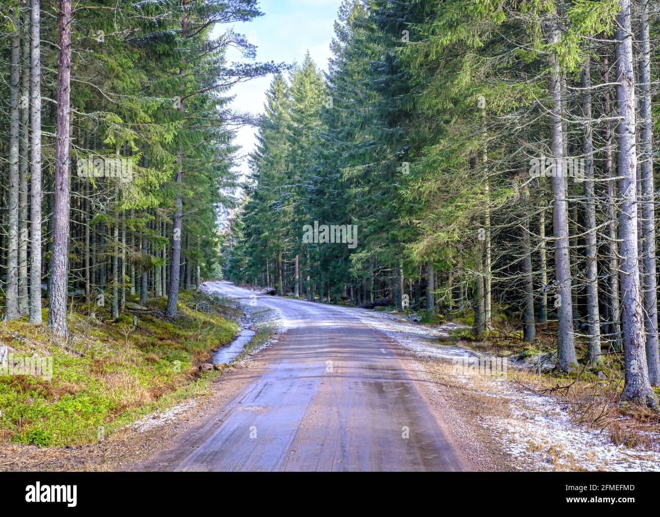 Walkway with grass covered by some snow hi-res stock photography and ...