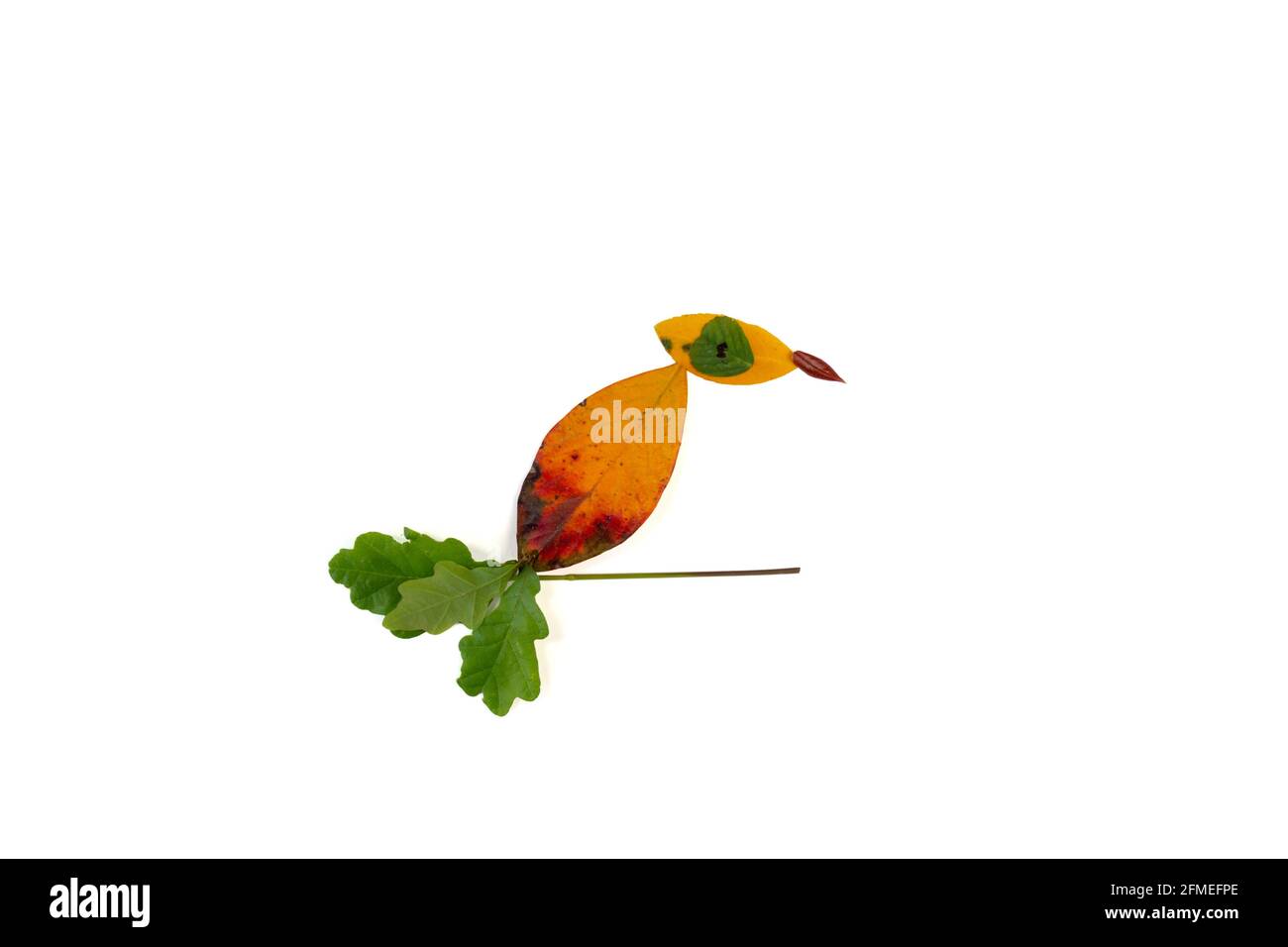 yellow leaf on white background, autumn nature art project for kids ...