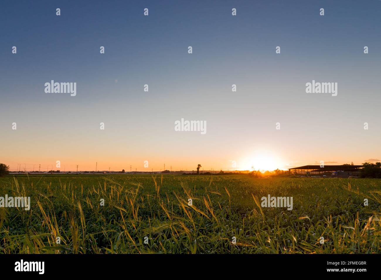 Agriculture hdr farm farming hi-res stock photography and images - Alamy