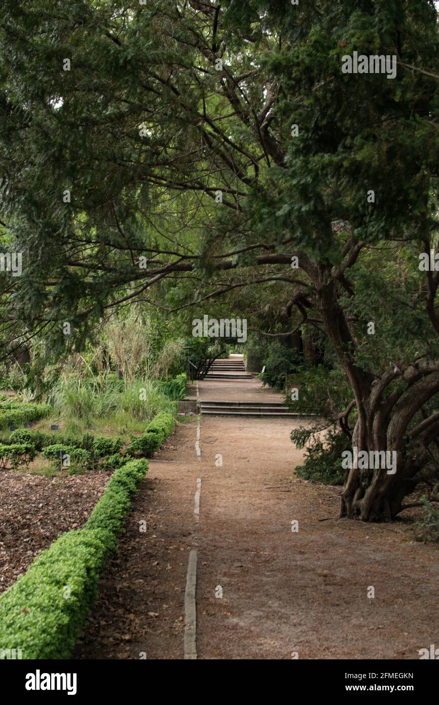 Shot park benches in hi-res stock photography and images - Alamy