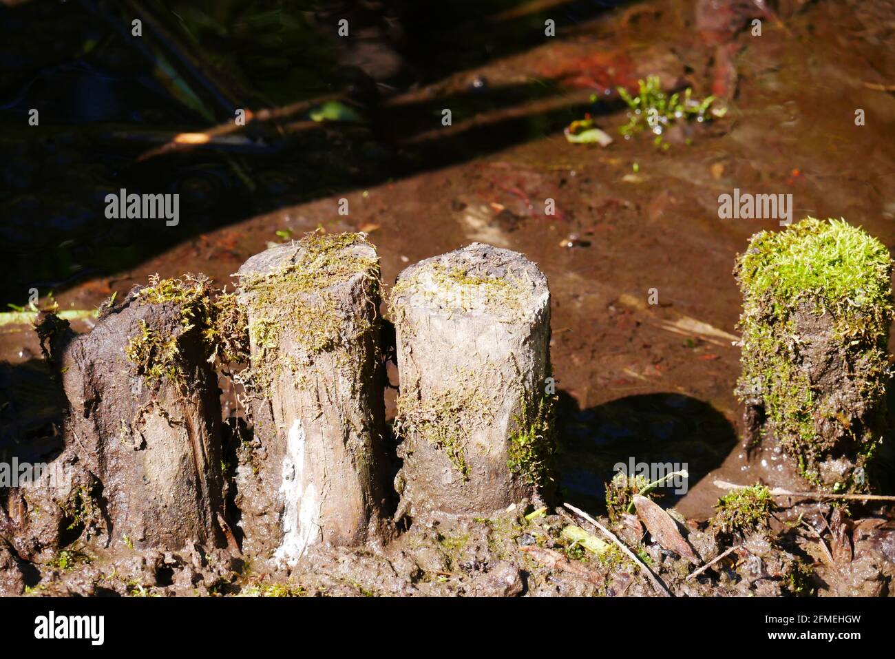 Bank reinforcement hi-res stock photography and images - Alamy
