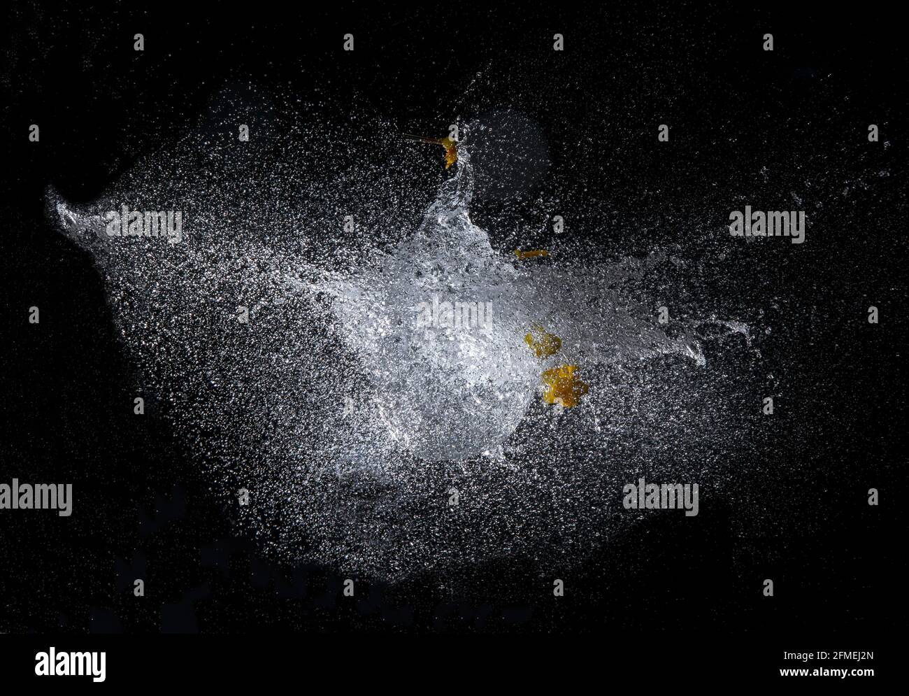 explosion of a water-filled balloon on a black background, high speed ...