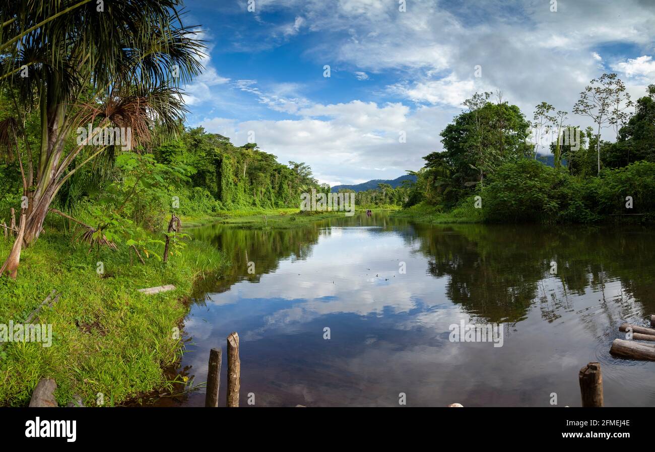 Amazon rainforest, Peru, panoramic landscape of the tropical jungle ...