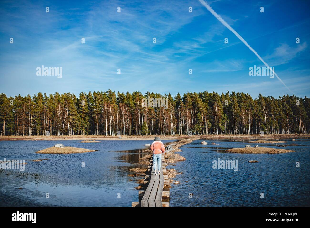 Tourist walking on a wooden boardwalk in national park Engure, Latvia ...