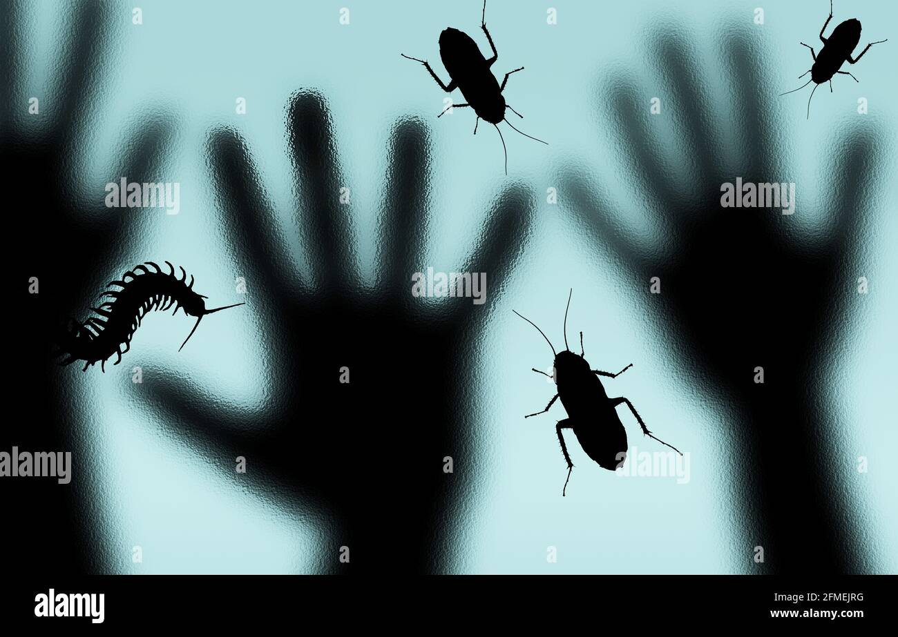 The human centipede hi-res stock photography and images - Alamy