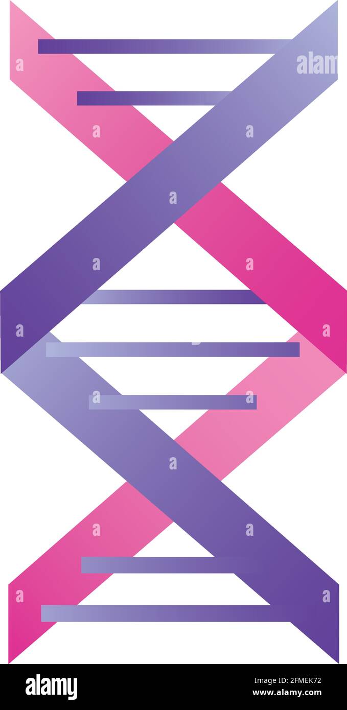 purple and pink dna molecule Stock Vector Image & Art - Alamy
