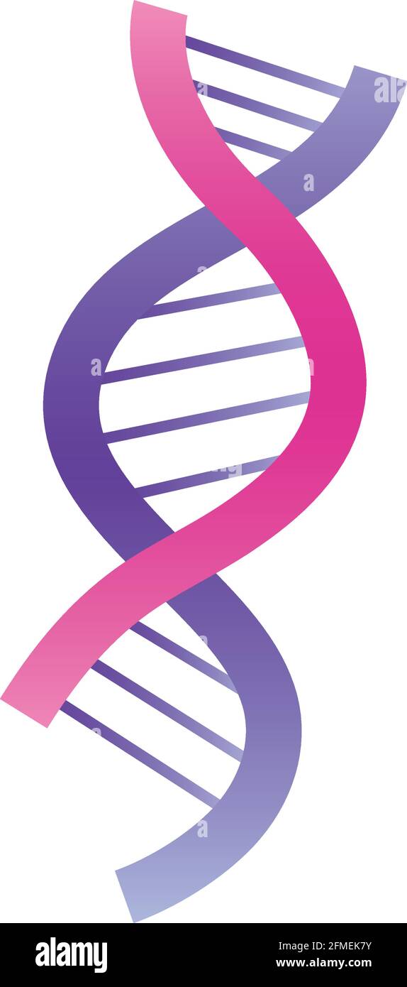 pink and lilac dna molecule Stock Vector Image & Art - Alamy