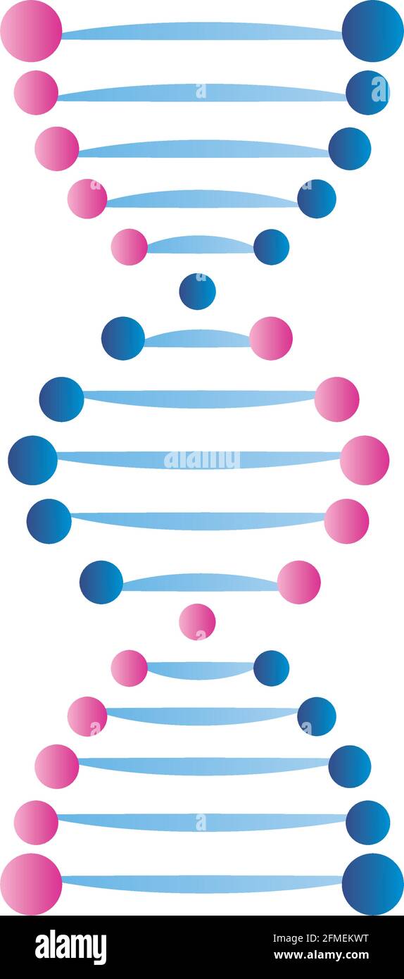 blue and pink dna molecule Stock Vector Image & Art - Alamy