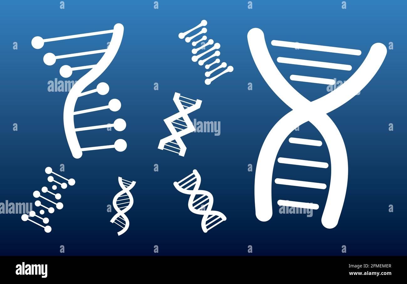 Molecules genetics dna Stock Vector Images - Alamy