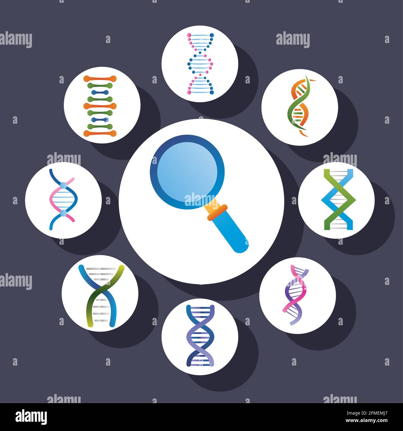 magnifying and dna genetic icons Stock Vector Image & Art - Alamy