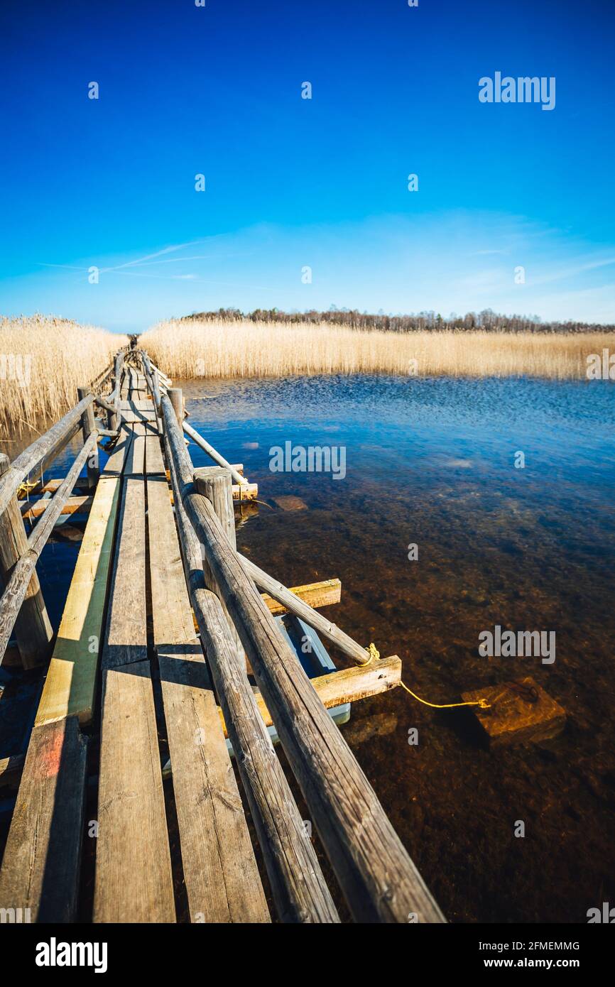 The wooden walking platform over water in the national park Stock Photo ...