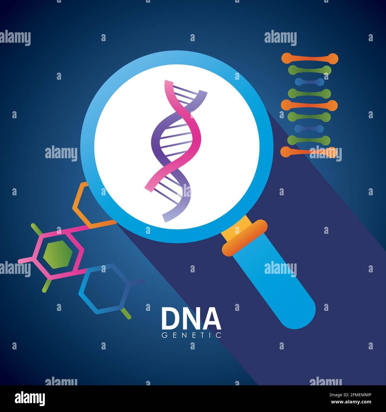 dna and magnifying glass poster Stock Vector Image & Art - Alamy