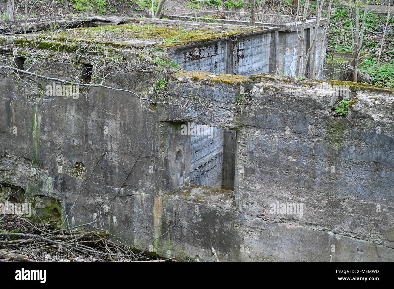 Unfinished concrete house construction is overgrown with moss Stock ...