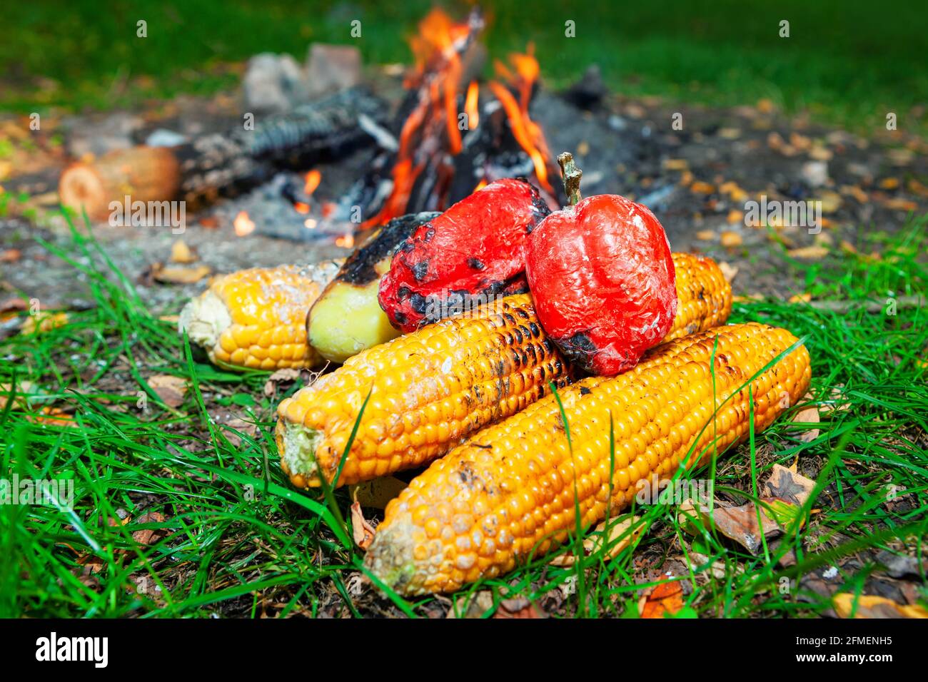 Campfire with veggies . Picnic with vegetables Stock Photo - Alamy