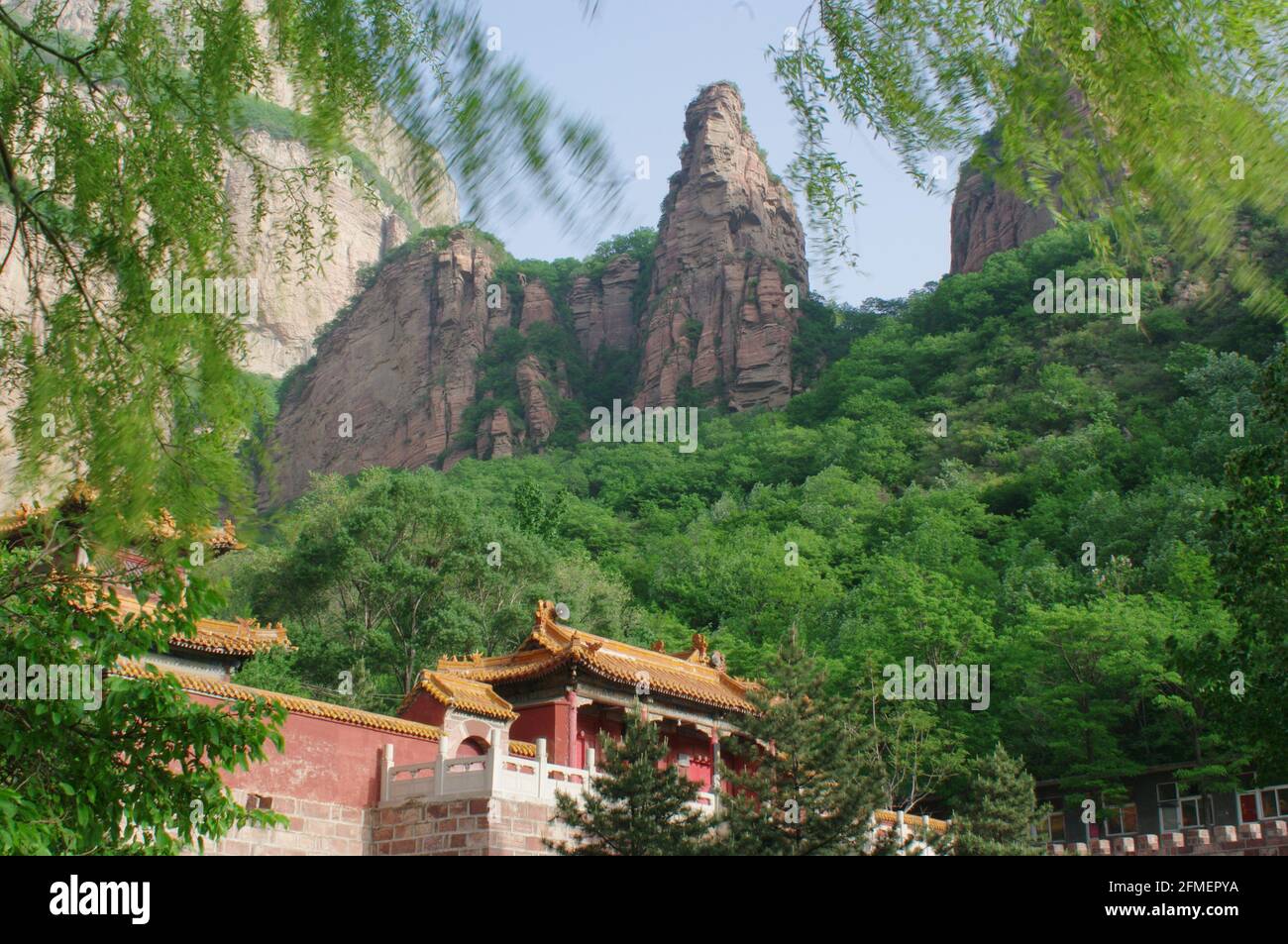 Chinese Camphor Rock Stock Photo - Alamy