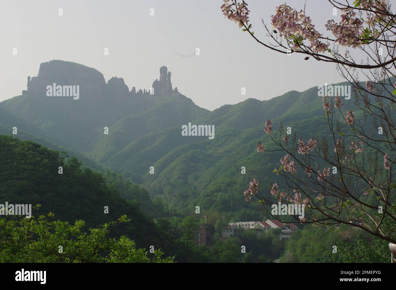 Chinese camphor rock hi-res stock photography and images - Alamy