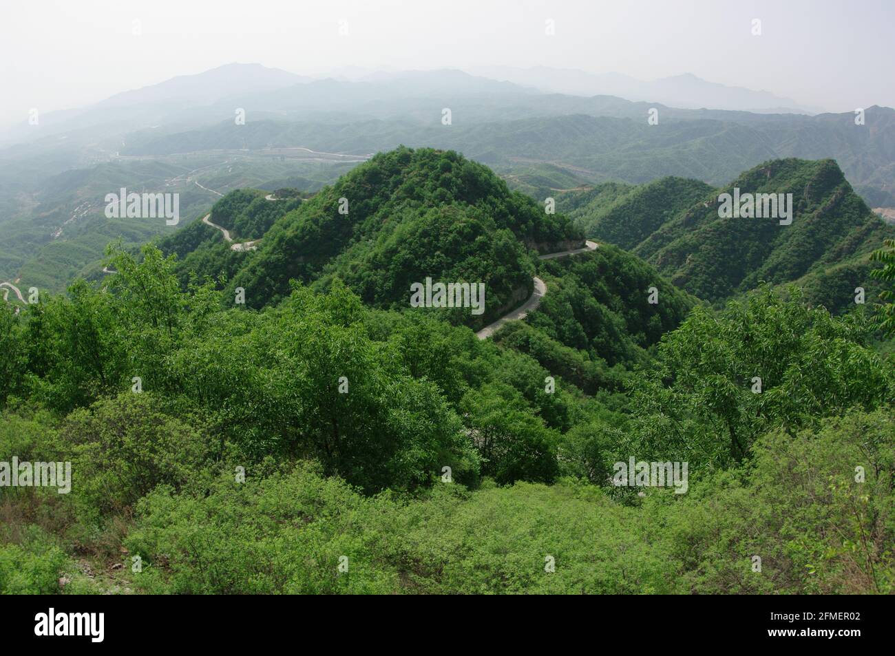 Chinese Camphor Rock Stock Photo - Alamy