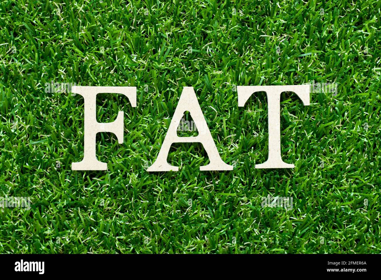 Wood alphabet letter in word FAT (Obesity or abbreviation of factory ...
