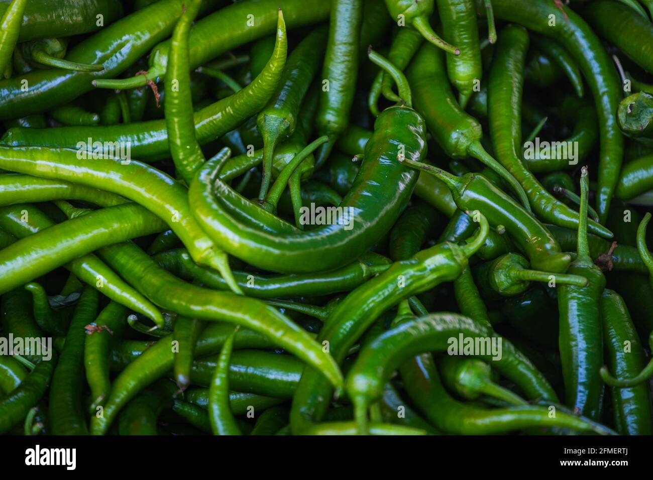 Close-up green vegetable for background, green pepper texture. Green ...