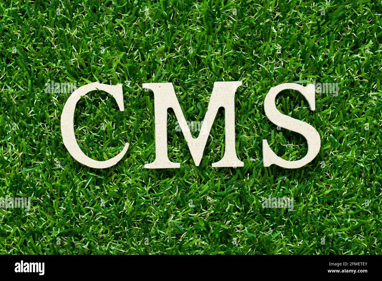 Wood alphabet letter in word CMS (Abbreviation of Content management ...