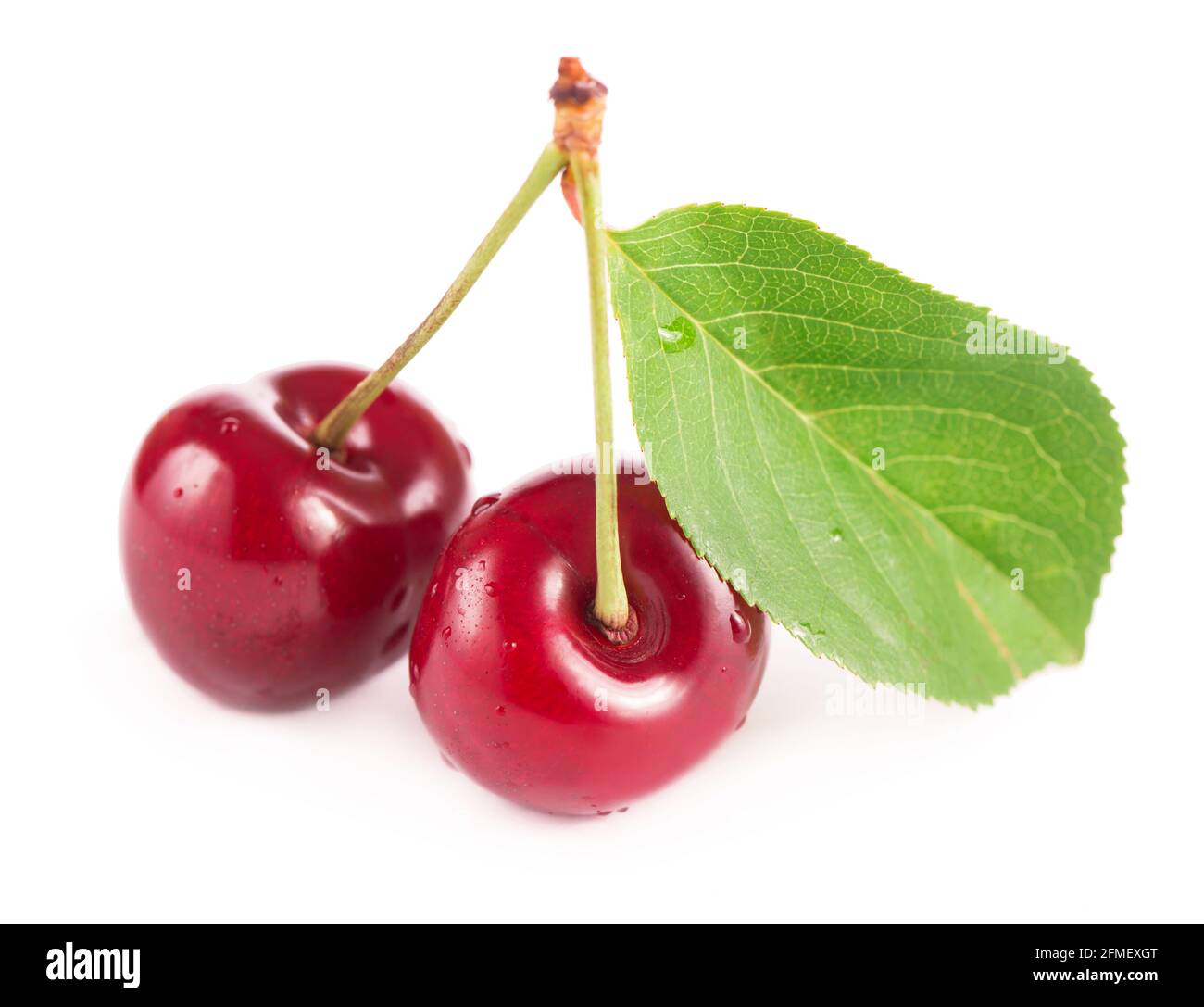 Ripe fresh red cherry isolated on white background. With clipping path ...