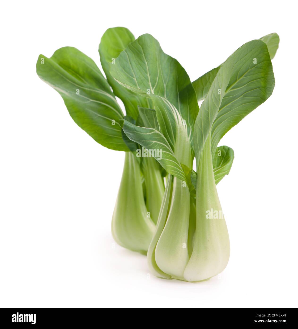 Qing geng cai hi-res stock photography and images - Alamy